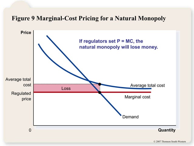 Monopoly in business and how it's arised | PPT