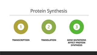 Topic 6 Protein Synthesis biology a level | PPTX