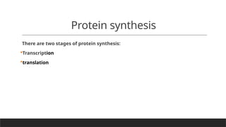 Topic 6 Protein Synthesis biology a level | PPTX