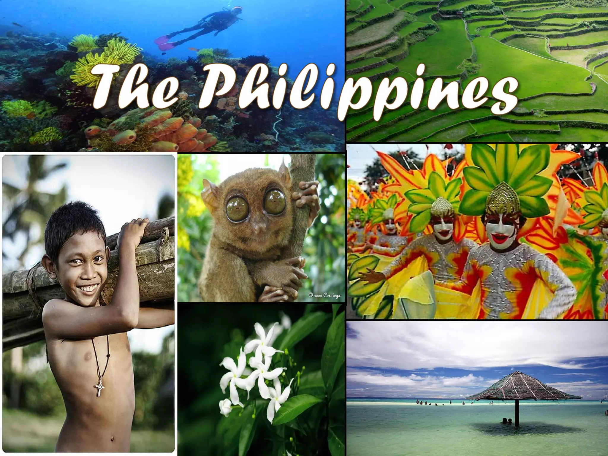 Topic 6 (the church in the modern world) | PPT