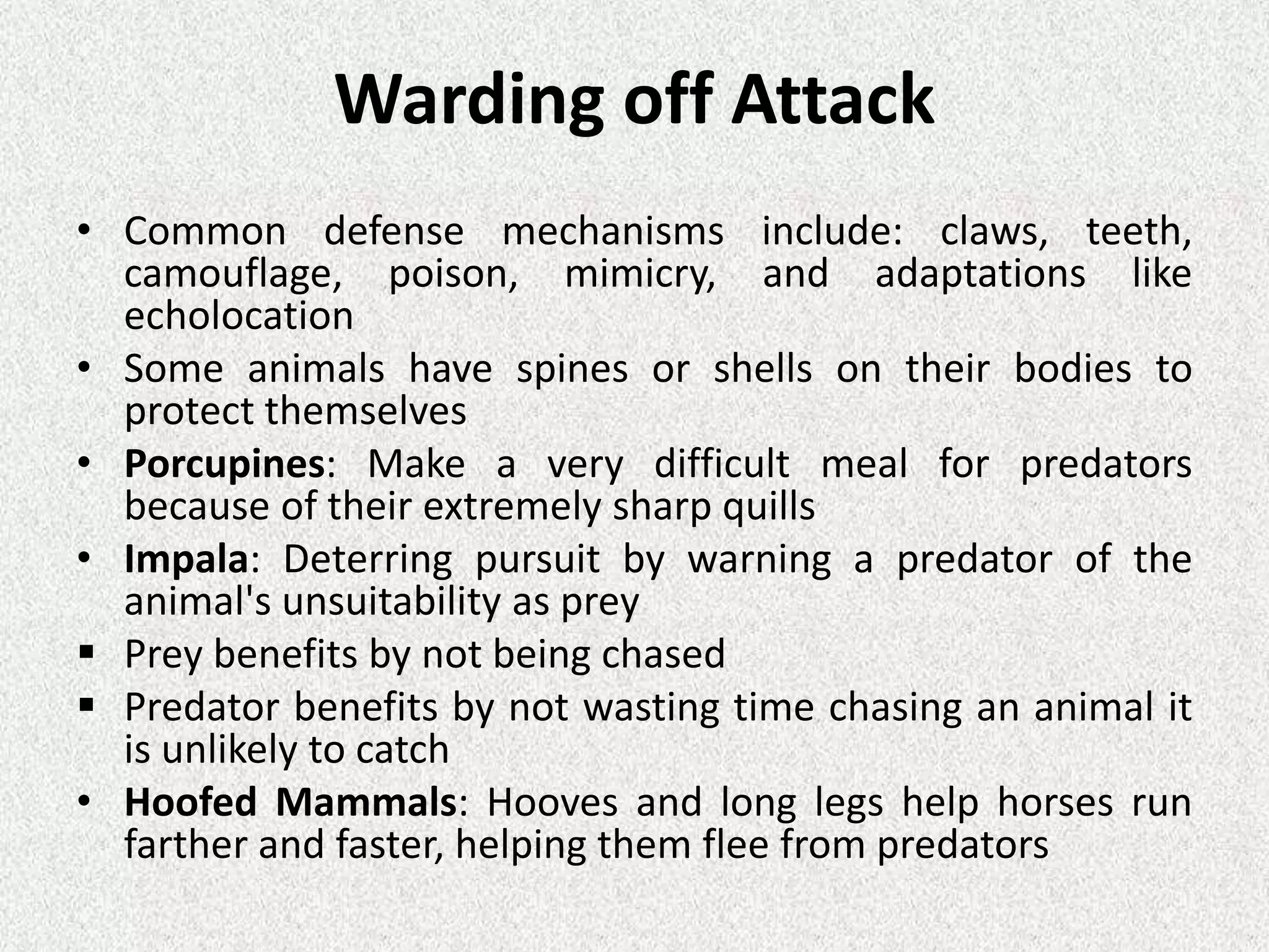 Defence and Protection in Mammals.pptx