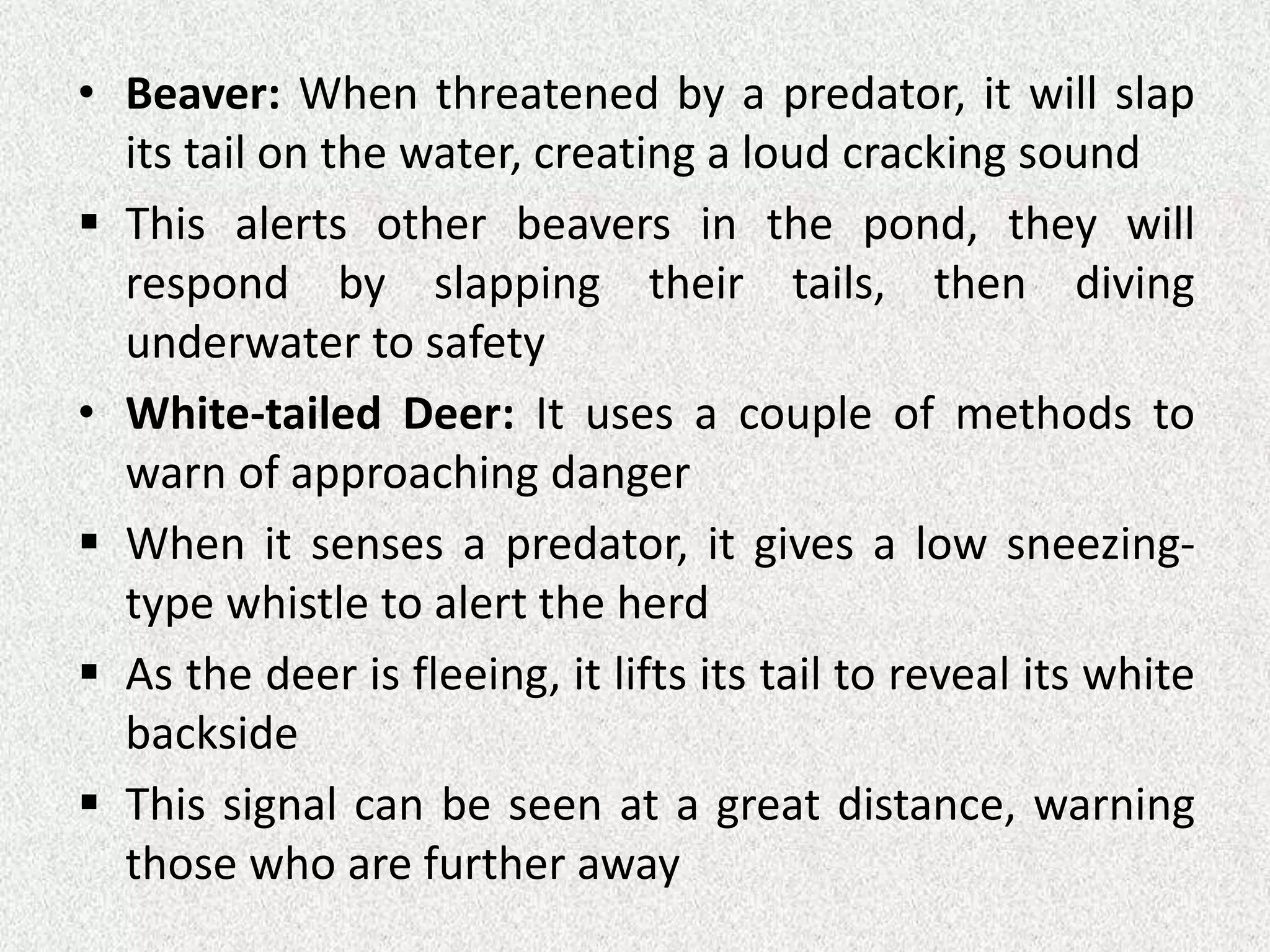 Defence and Protection in Mammals.pptx