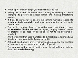 Defence and Protection in Mammals.pptx