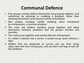 Defence and Protection in Mammals.pptx