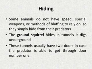 Defence and Protection in Mammals.pptx