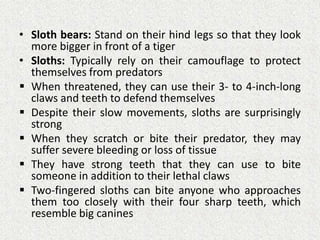 Defence and Protection in Mammals.pptx