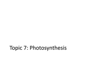 Topic 7 Photosynthesis | PDF