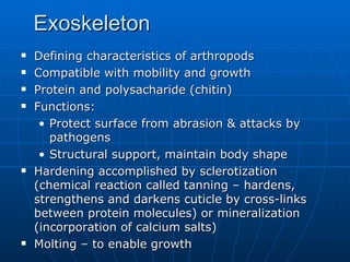 Topic 7 arthropoda_-_ecdysis_and_insect_communication | PPT
