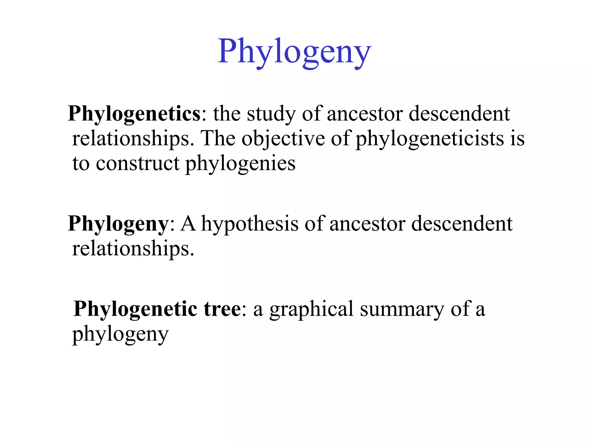 Topic 7 Phylogeny.ppt