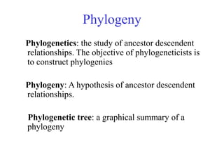 Topic 7 Phylogeny.ppt