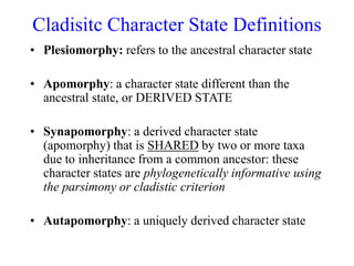 Topic 7 Phylogeny.ppt