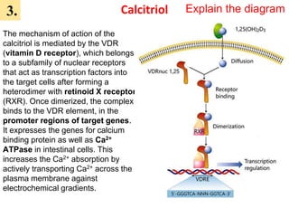 Topic 8-1 Са и вода анг.pptx