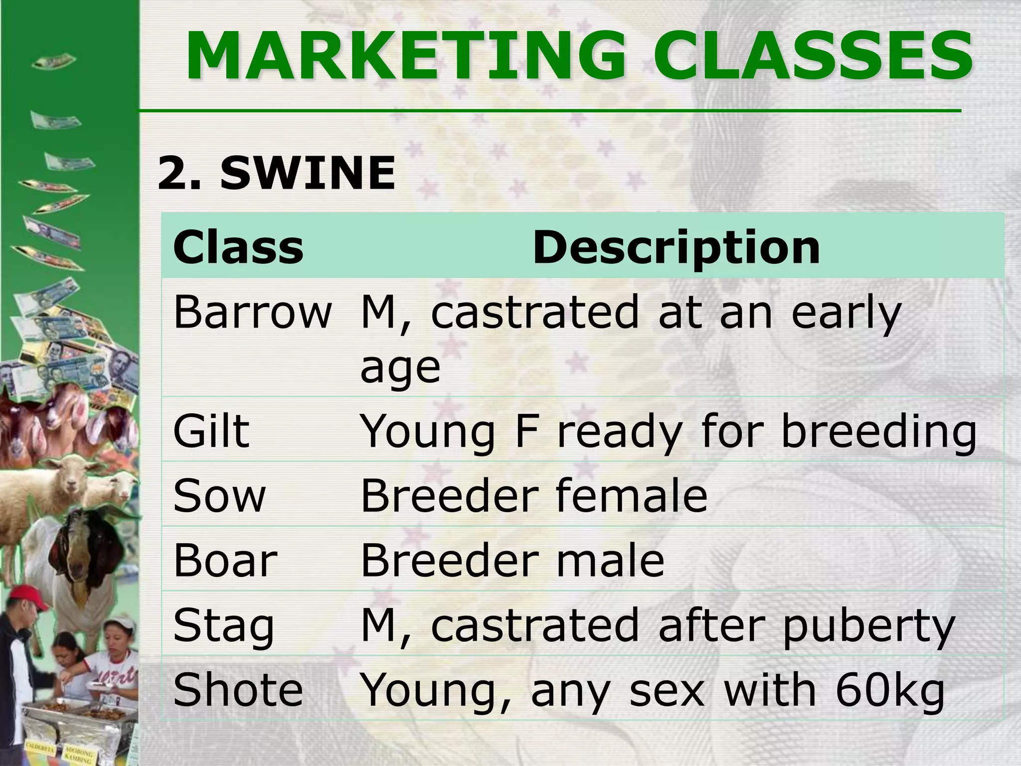 Marketing Livestock and Poultry Products | PPSX