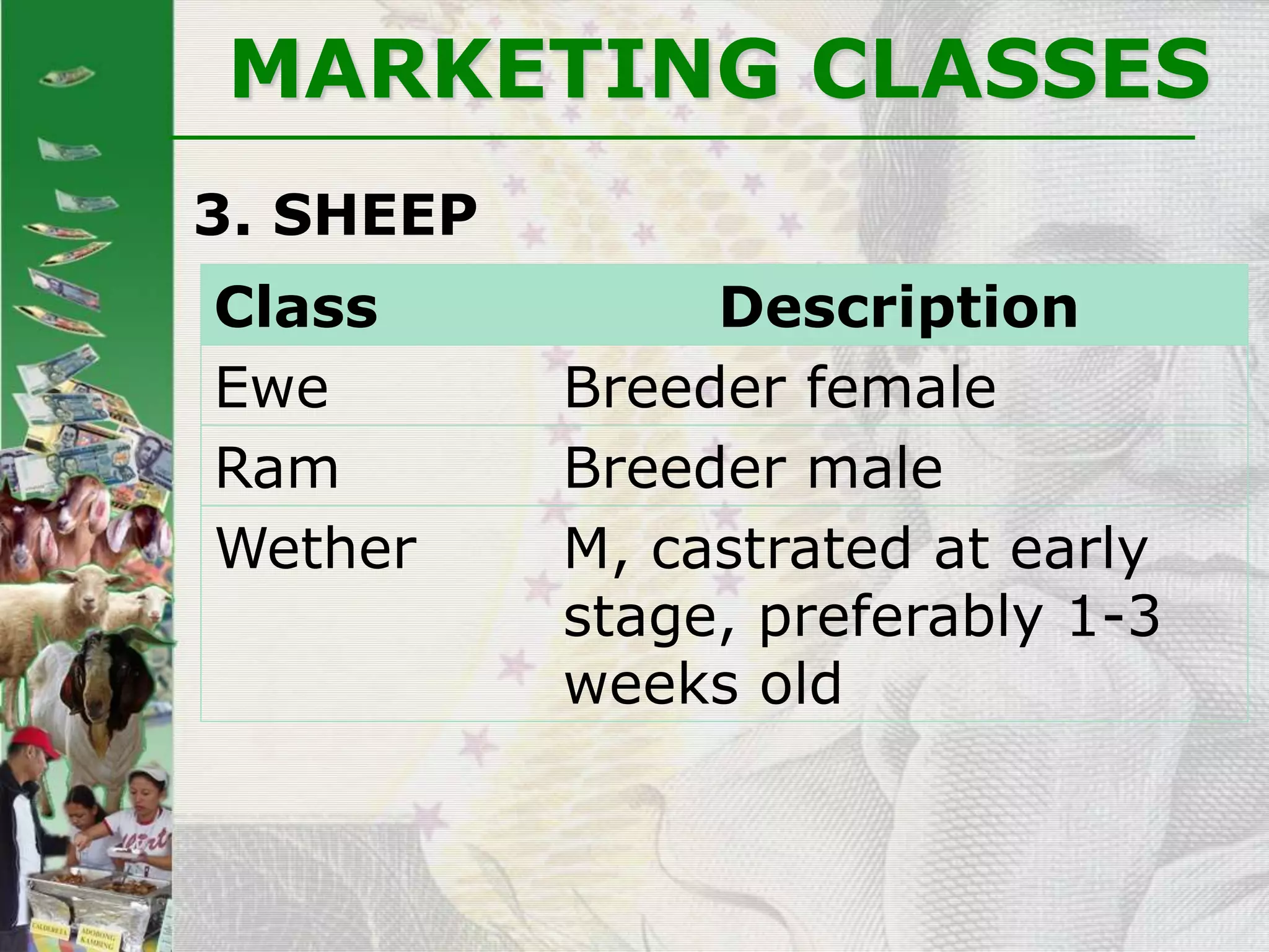 Marketing Livestock and Poultry Products | PPSX