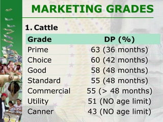 Marketing Livestock and Poultry Products | PPSX