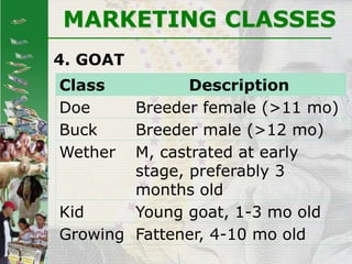 Marketing Livestock and Poultry Products | PPSX