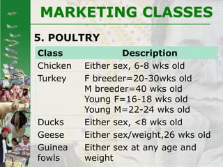 Marketing Livestock and Poultry Products | PPSX