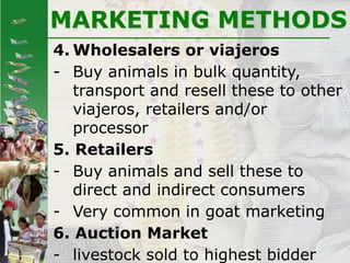 Poultry Animals And Their Products