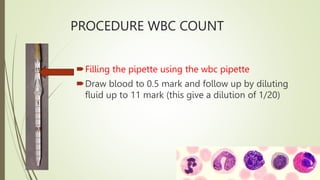 TOPIC 8 BLOOD CELL COUNT.pptx | Blood Disorders | Diseases and Conditions