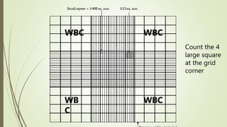 TOPIC 8 BLOOD CELL COUNT.pptx | Blood Disorders | Diseases and Conditions