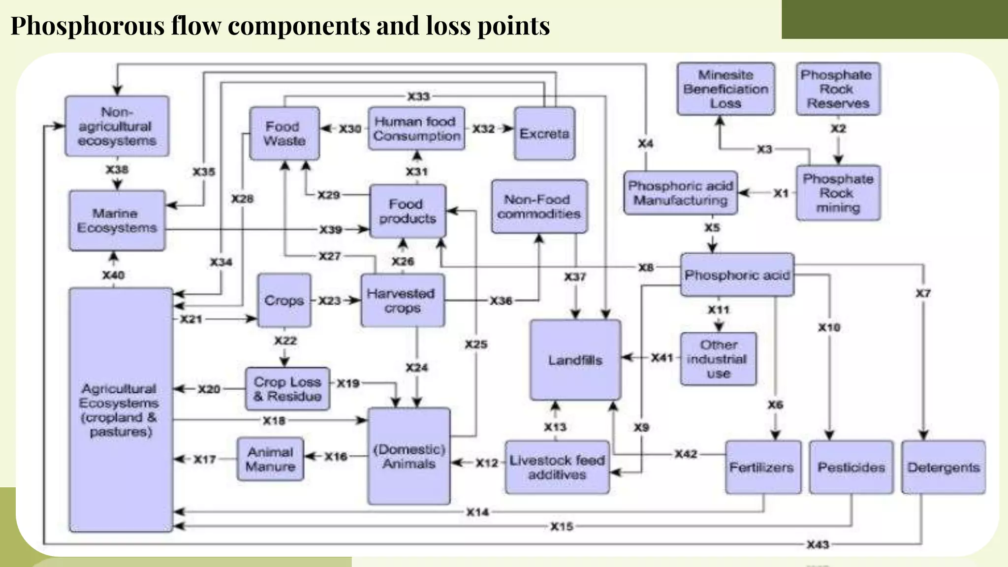 Sustainable phosphate use | PPT