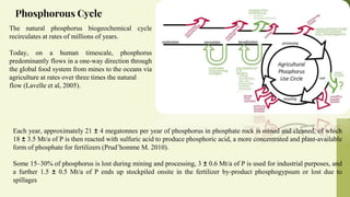Sustainable phosphate use | PPT