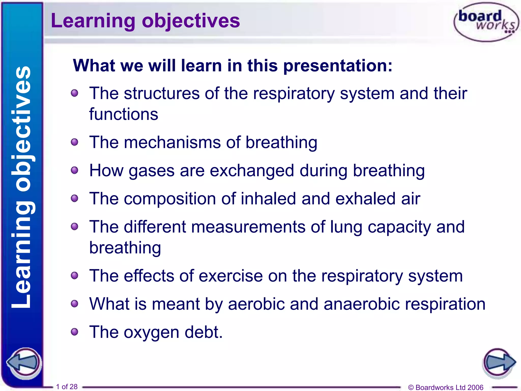 respiratory_system | PPT