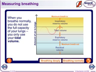 respiratory_system | PPT