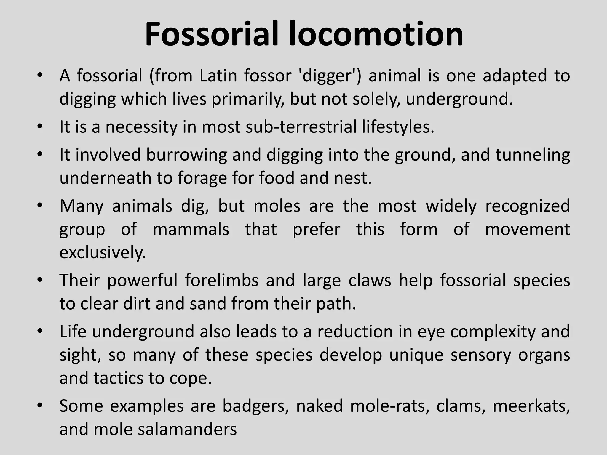 Movement in Mammals.pptx