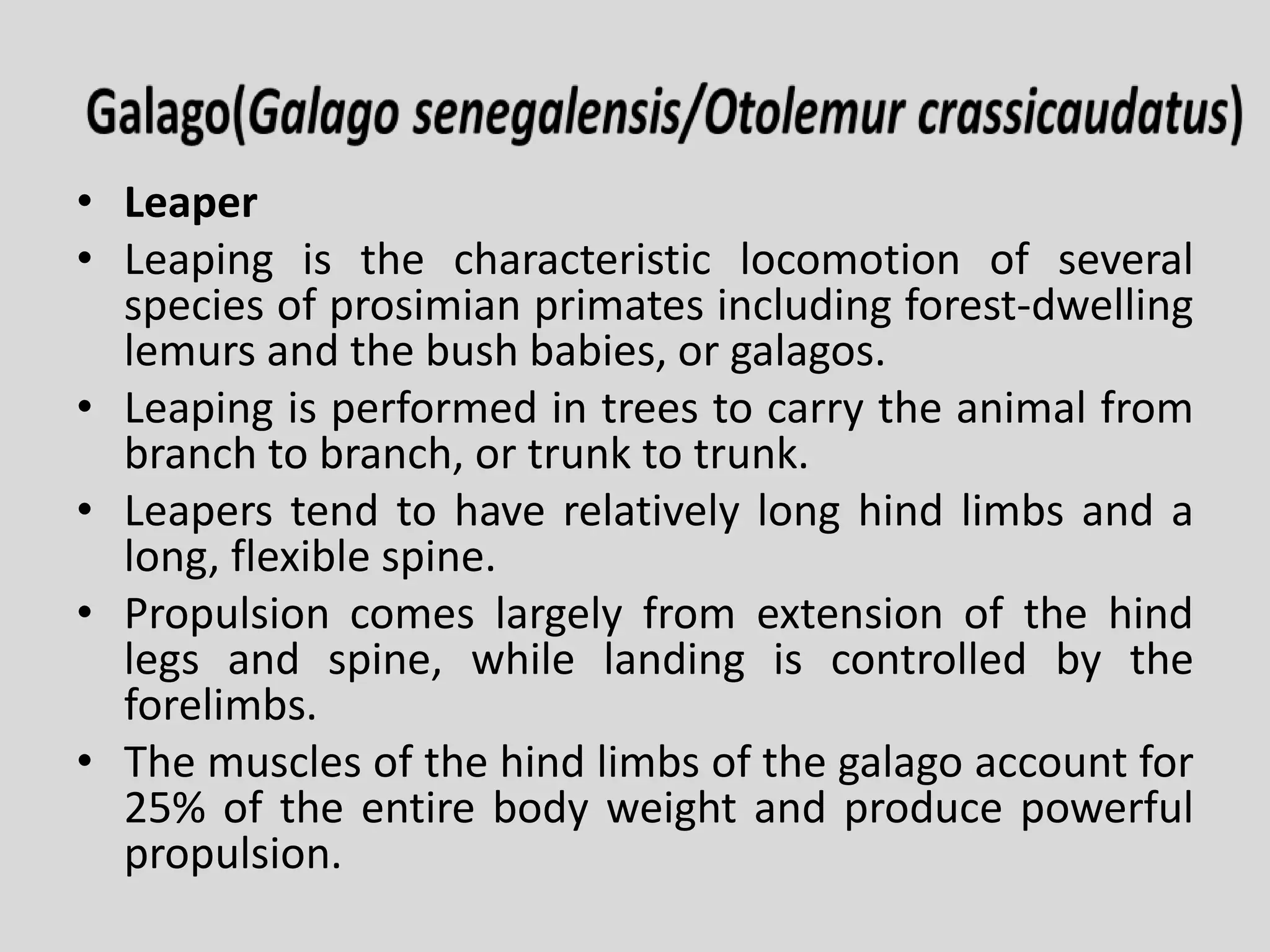 Movement in Mammals.pptx