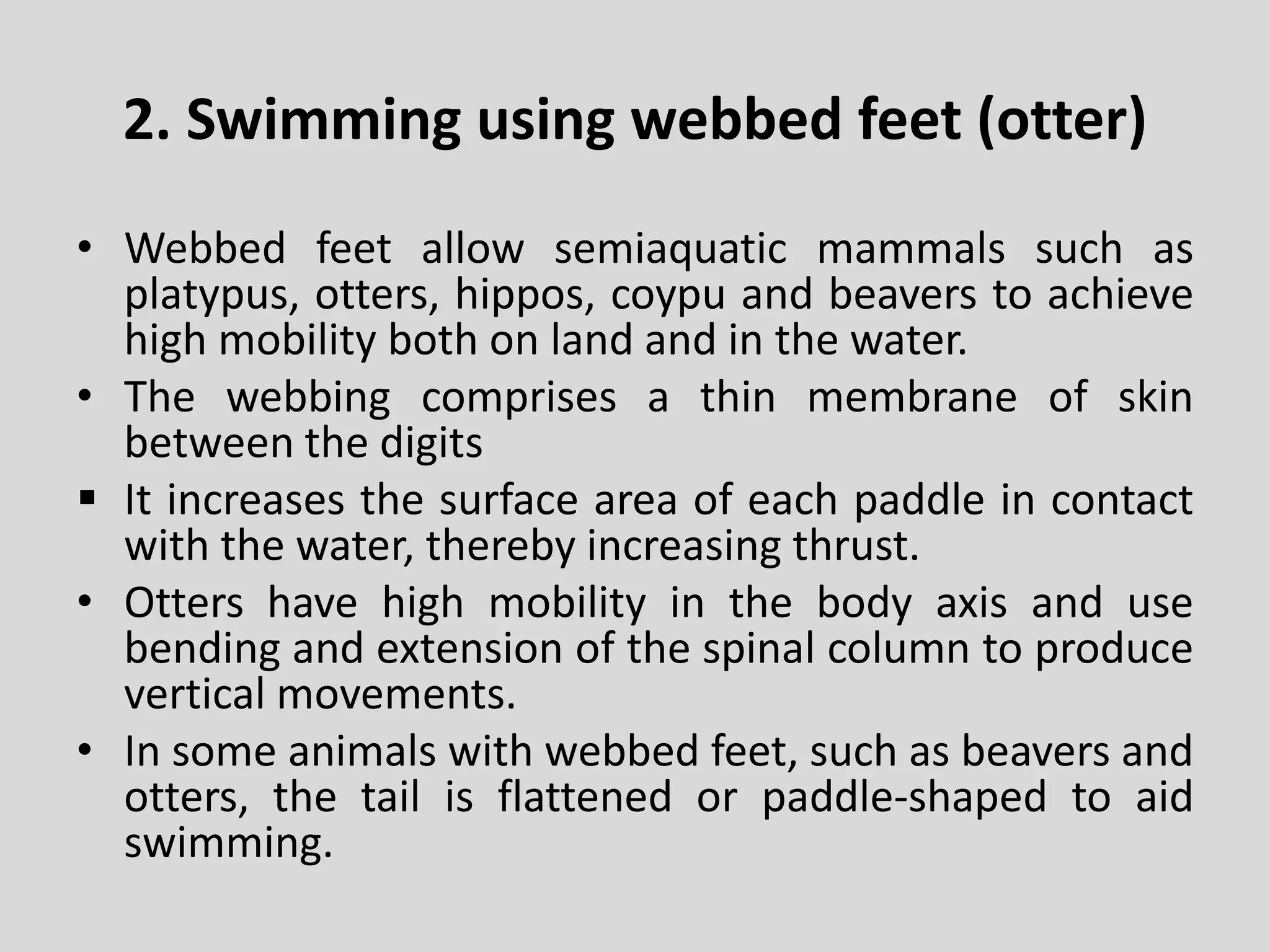 Movement in Mammals.pptx
