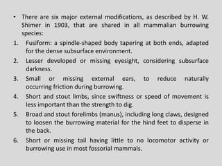 Movement in Mammals.pptx