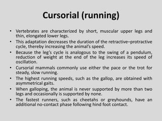 Movement in Mammals.pptx
