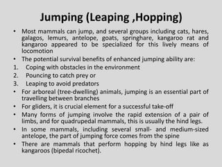 Movement in Mammals.pptx
