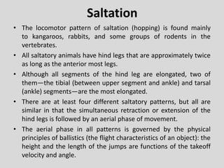 Movement in Mammals.pptx