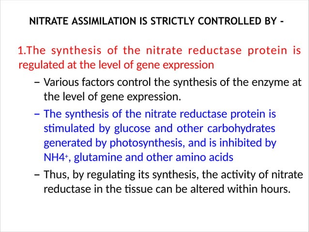 Nitrogen fixation and nitrogen assimilation | PPT