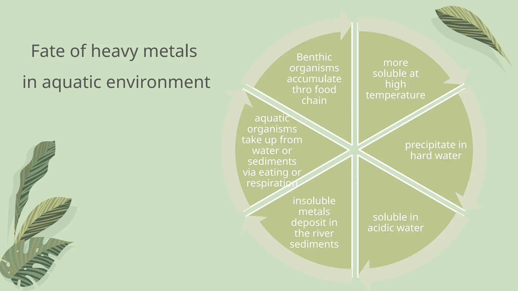 Topic 9 _ Hazards of Heavy metal Contamination.pptx