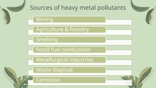 Topic 9 _ Hazards of Heavy metal Contamination.pptx