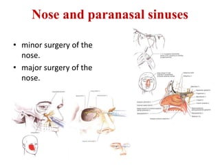 TopicalandlocalAnesthesiaIn.ppsx | Ear, Nose and Throat Conditions ...