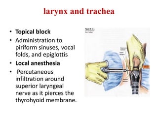 TopicalandlocalAnesthesiaIn.ppsx | Ear, Nose and Throat Conditions ...