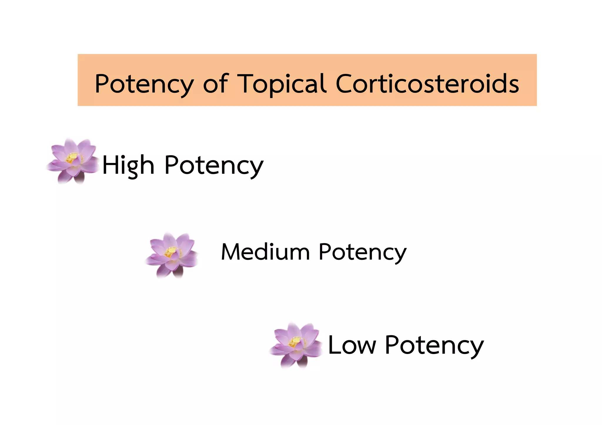Topical corticosteroids | PDF