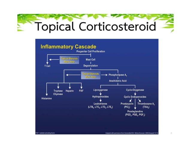 Topical corticosteroids | PDF