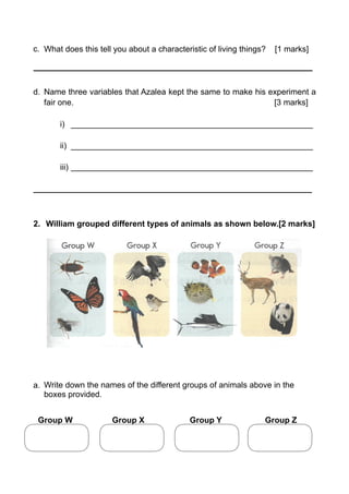 Science Topical Test- Year 3 | PDF
