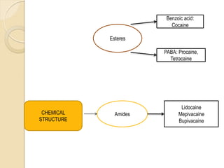 Topic and local anesthetics | PPT