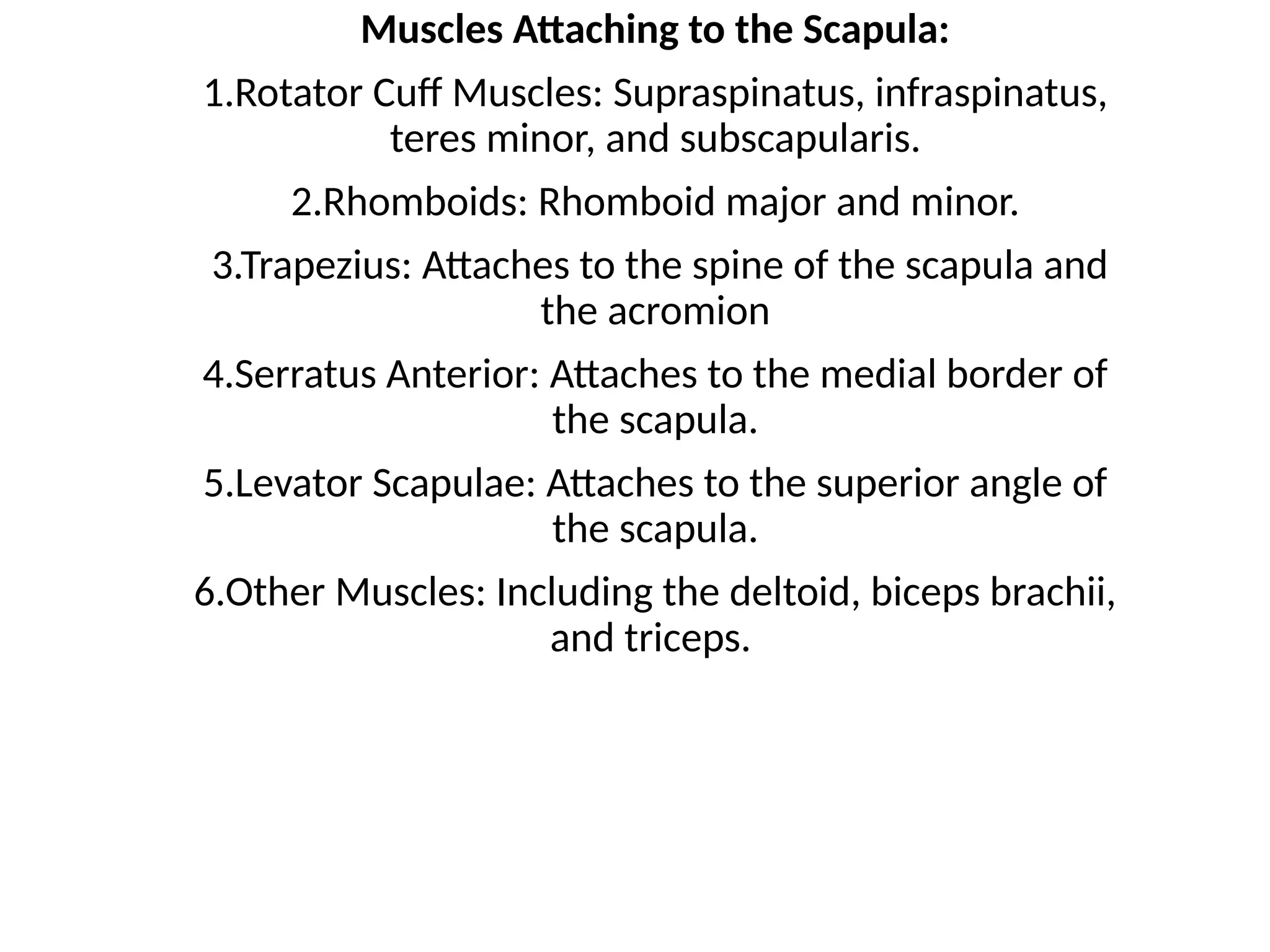 Topic_ Attachment of scapula, and it's important | PPTX