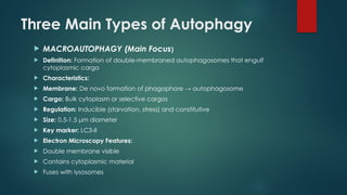Topic autophagy.pptx Topic autophagy.pptx