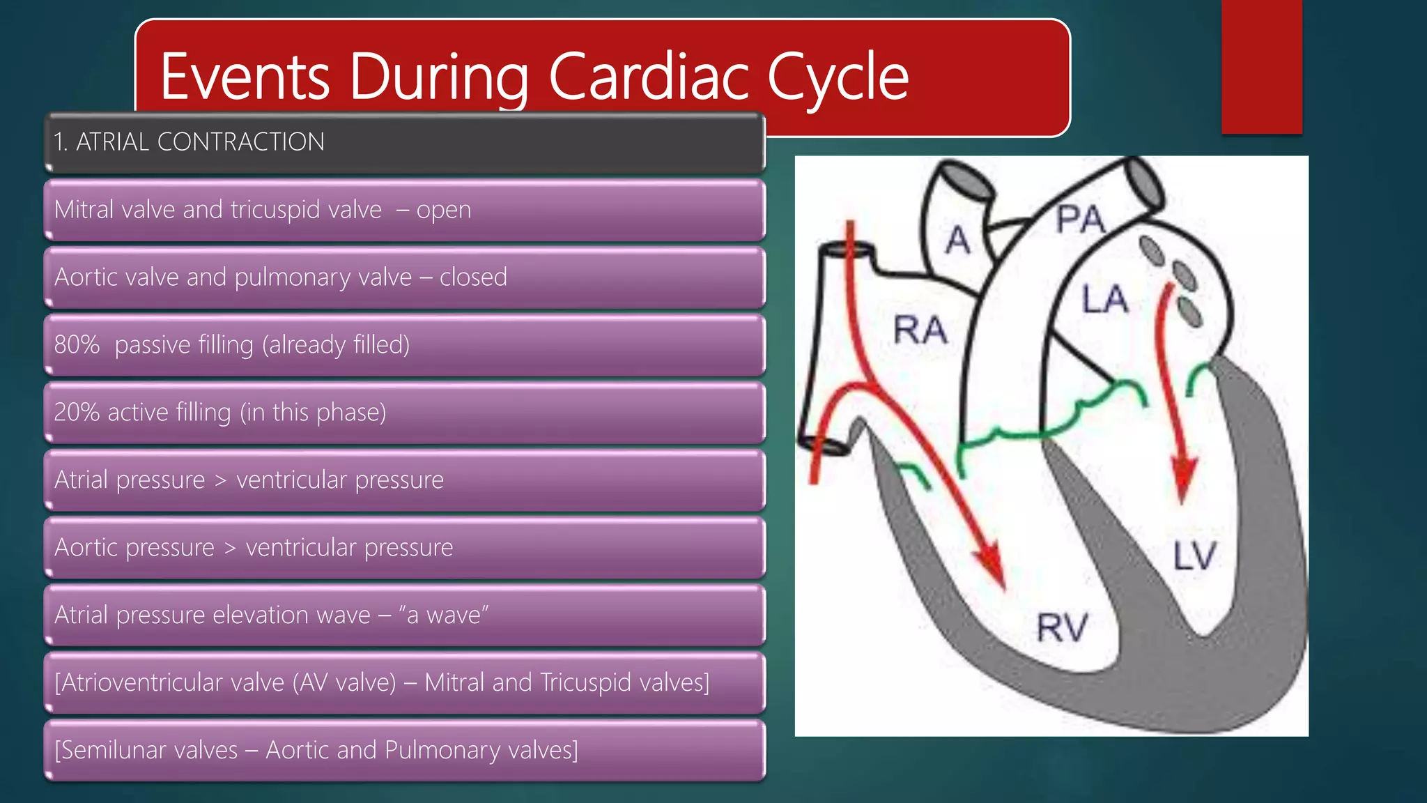 cardiac cycle | PPTX