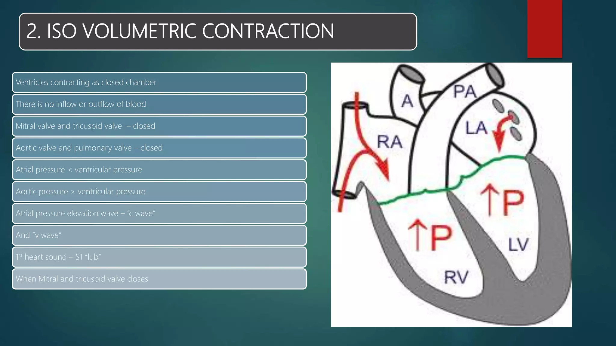 cardiac cycle | PPTX