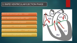 cardiac cycle | PPTX