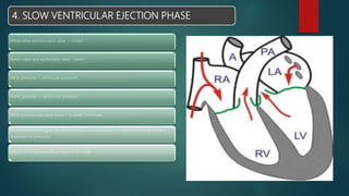 cardiac cycle | PPTX
